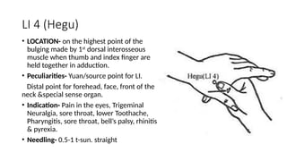 Large Intestine meridian introduction, pathway and indications.pptx
