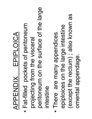 Large Intestine New Anatomy with Applied Aspect.pdf