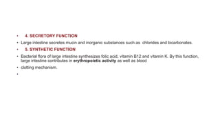 largeintestinepathologiesconditions-240627071428-3c936a47 (2).pptx