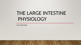 GIT Physiology - Large intestine physiology. .ppt