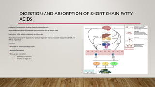 GIT Physiology - Large intestine physiology. .ppt
