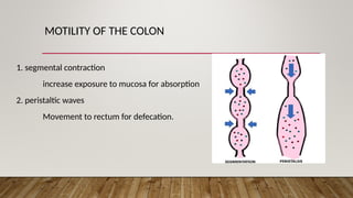 GIT Physiology - Large intestine physiology. .ppt