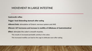 GIT Physiology - Large intestine physiology. .ppt