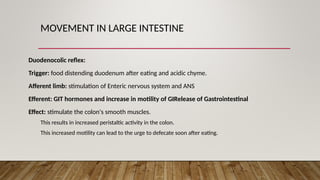 GIT Physiology - Large intestine physiology. .ppt