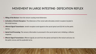 GIT Physiology - Large intestine physiology. .ppt