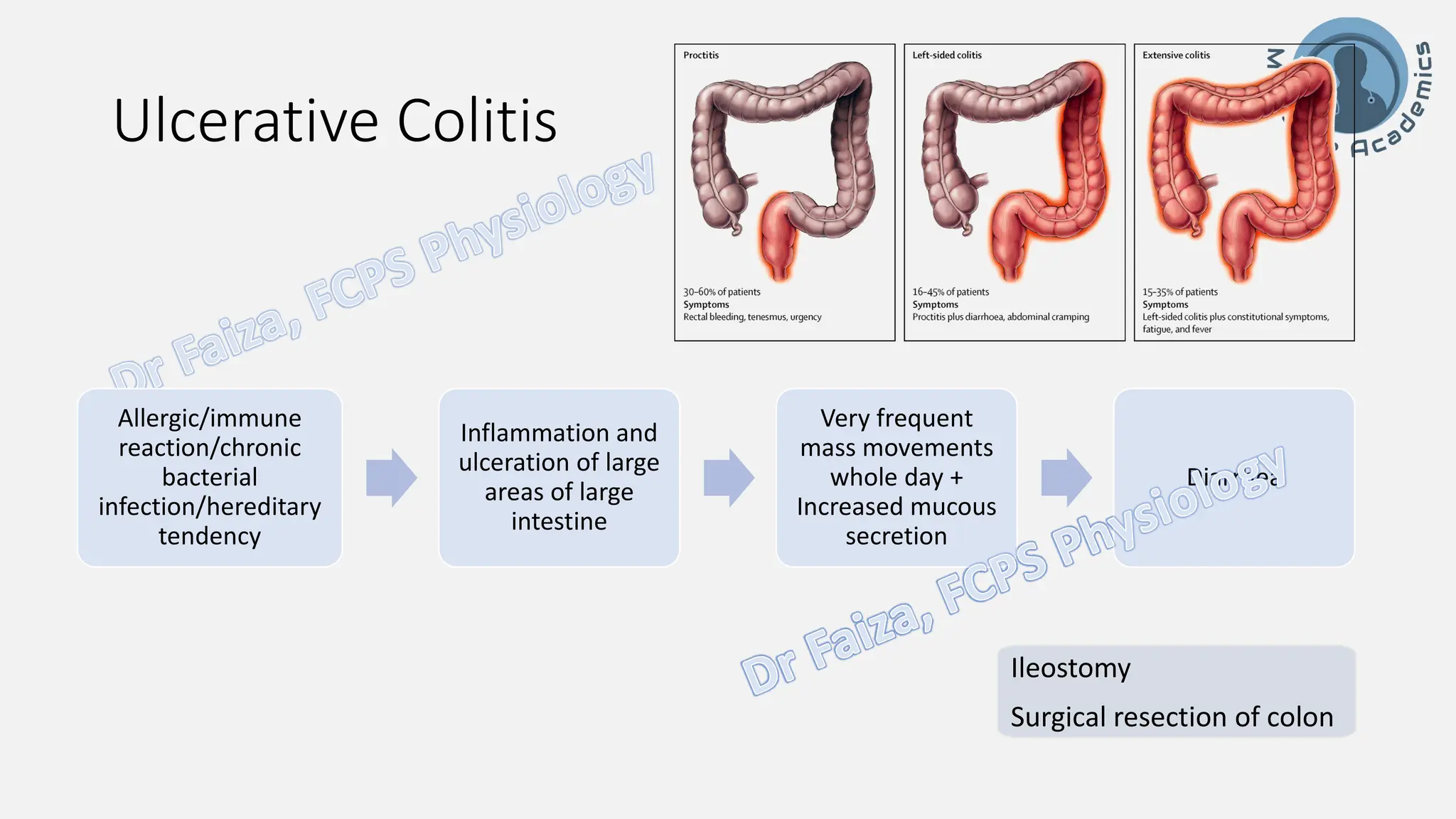Large Intestine Physiology | PDF