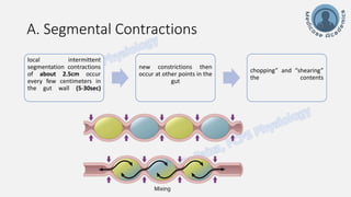 Large Intestine Physiology | PDF