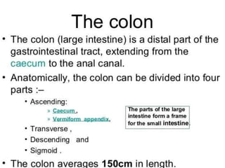 Large intestine presentation | PPTX
