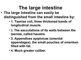Large intestine presentation | PPTX