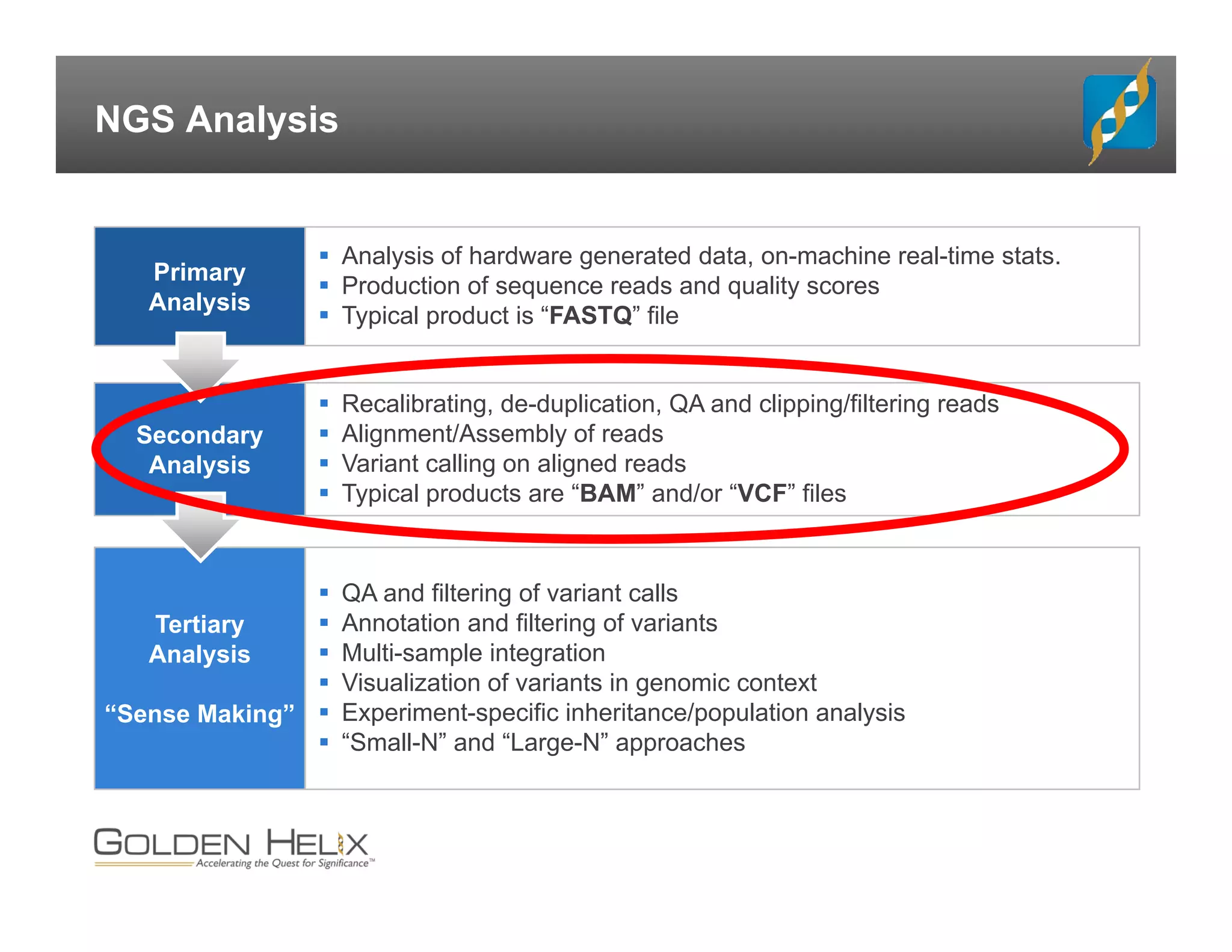Population-Based DNA Variant Analysis | PDF