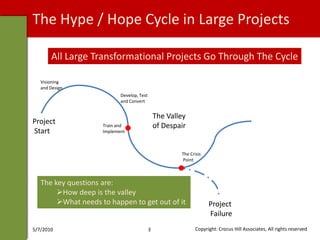 Large Project Value Realization | PDF