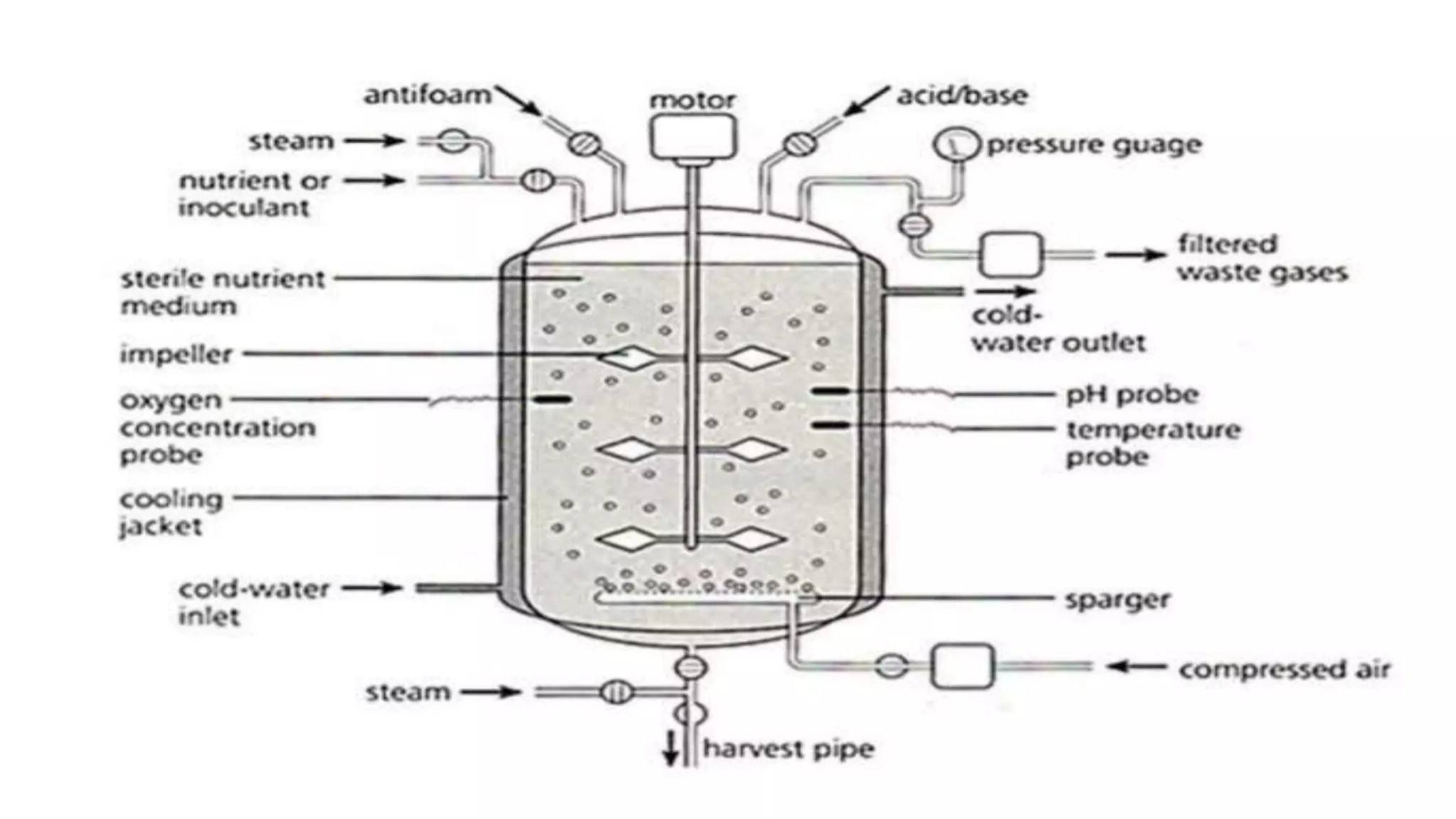 Large scale fermentation (1) | PDF