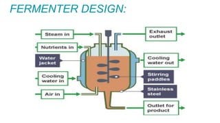 Large scale fermentation (1) | PDF