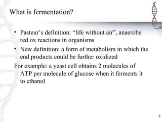 Definition Of Fermentation