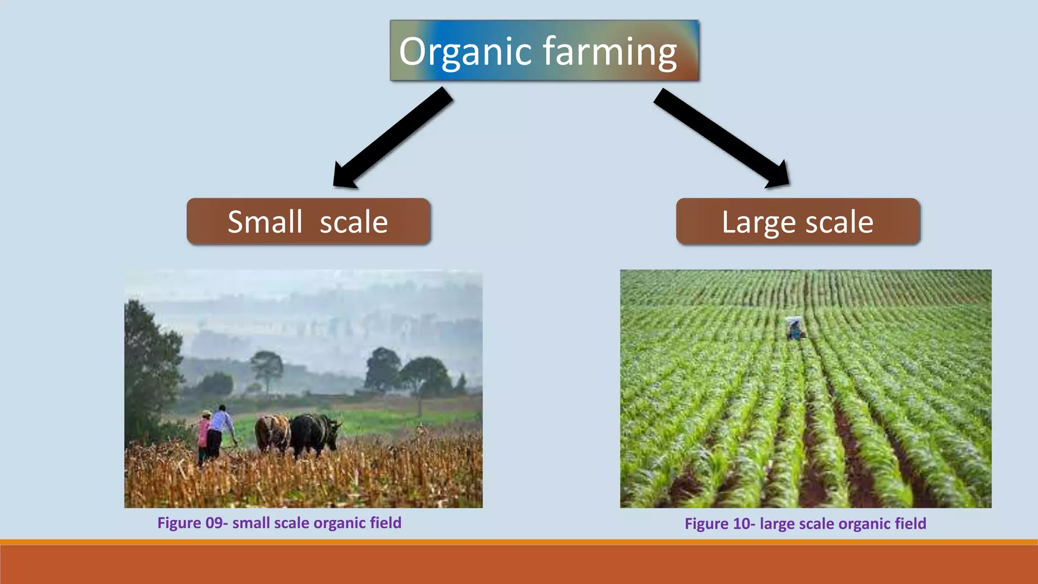 Large scale organic farming | PPT