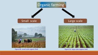 Large scale organic farming | PPT
