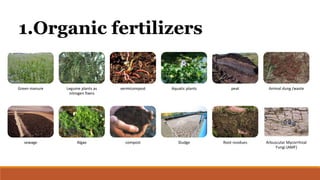 Large scale organic farming | PPTX