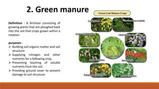 Large scale organic farming | PPT