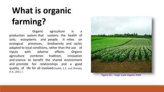 Large scale organic farming | PPT