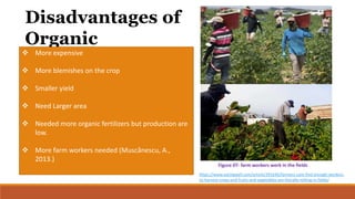 Large scale organic farming | PPT