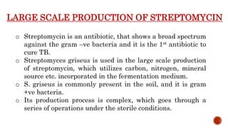 Large scale production of antibiotics.pptx