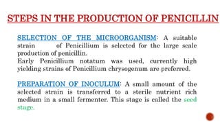 Large scale production of antibiotics.pptx