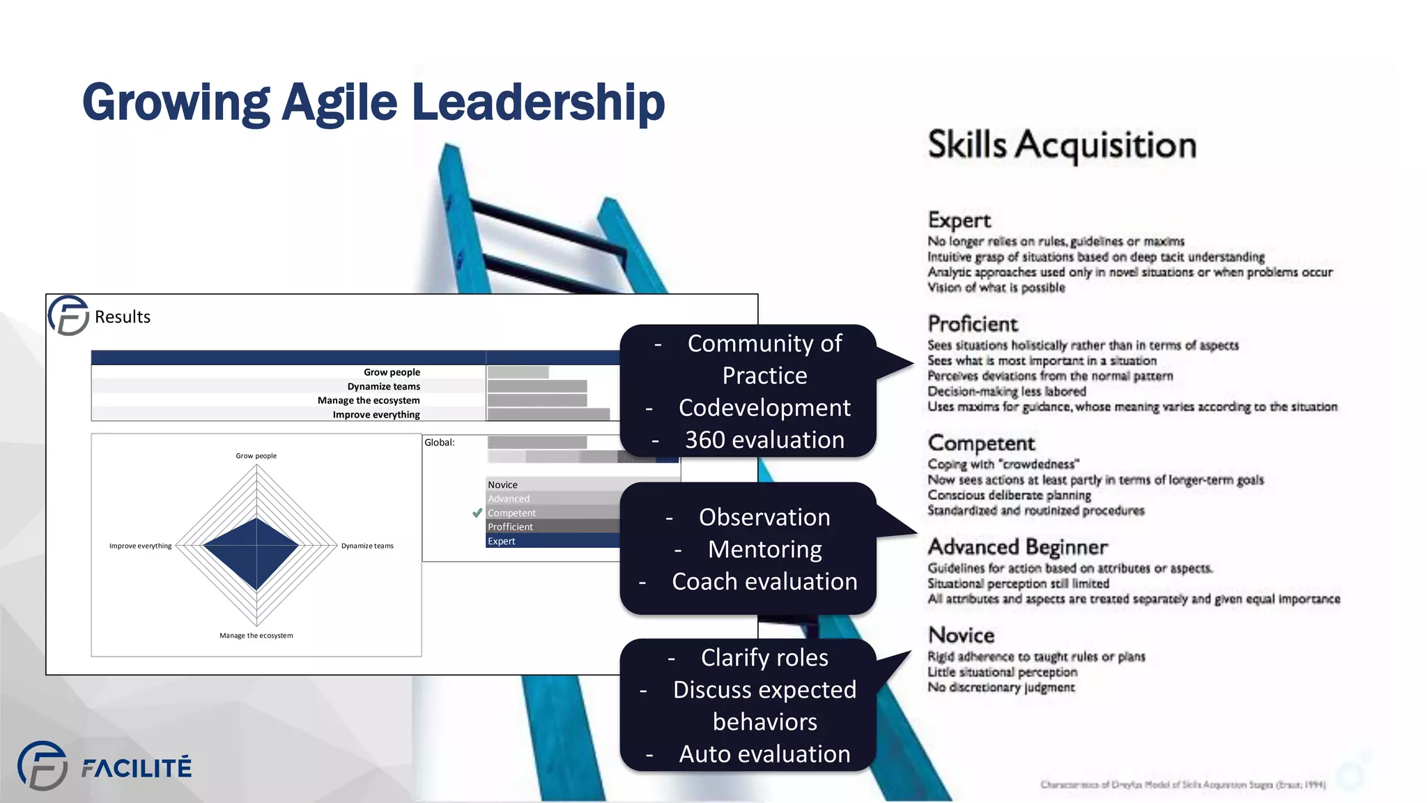 Large scale agile transformation: Field report | PDF
