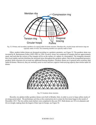 Large span timber structure | PDF