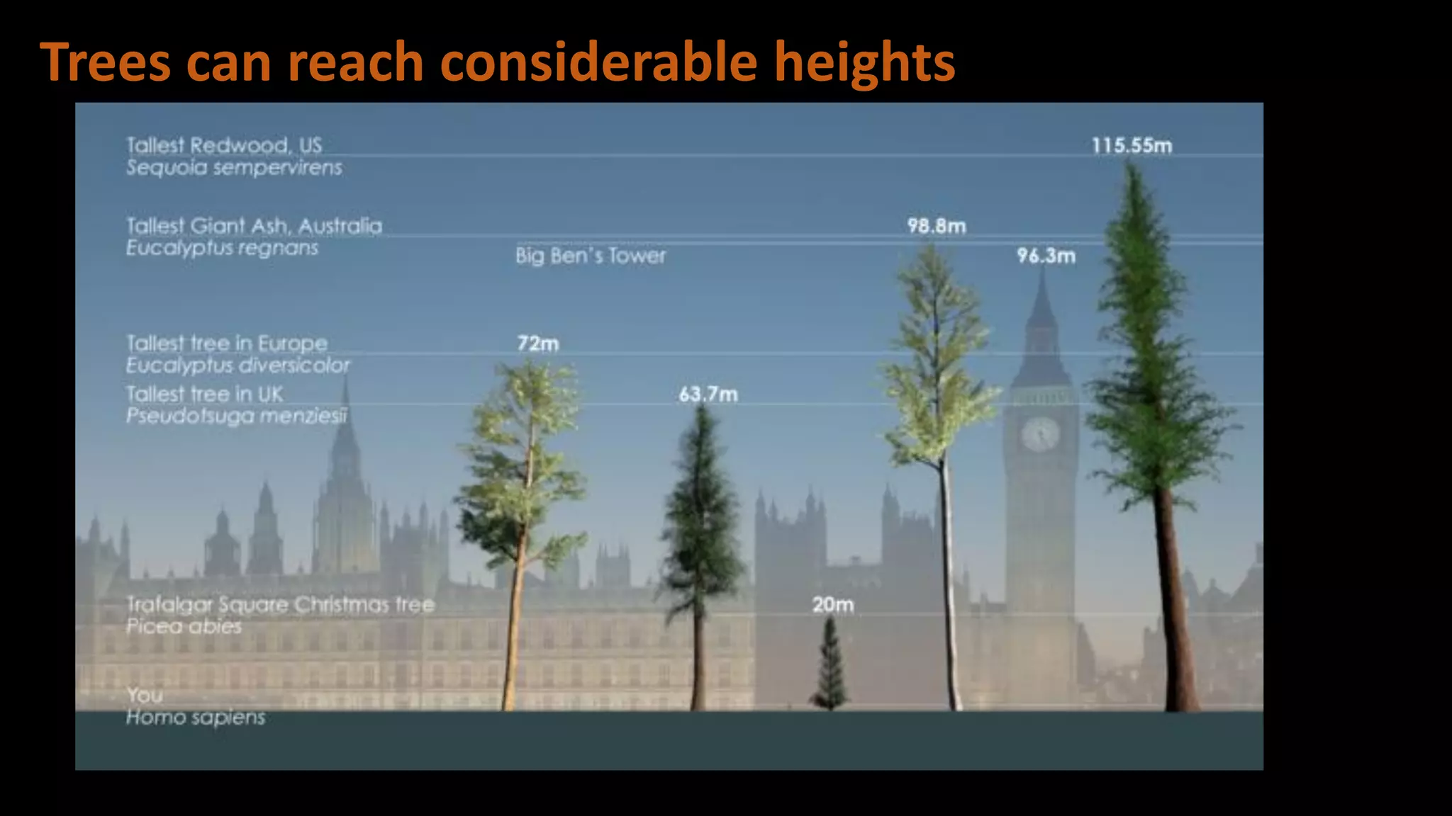 Large span structures_new | PDF