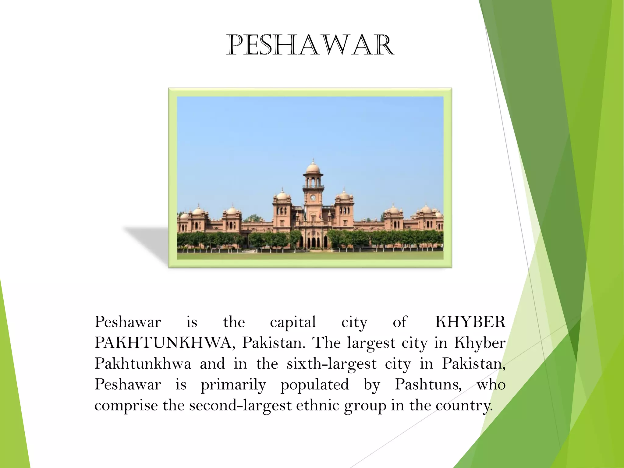 LARGEST CITIES OF PAKISTAN1.pdf