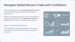 Largest Exporters of Bananas and Their Global Impact | PPTX
