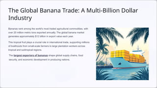 Largest Exporters of Bananas and Their Global Impact | PPTX