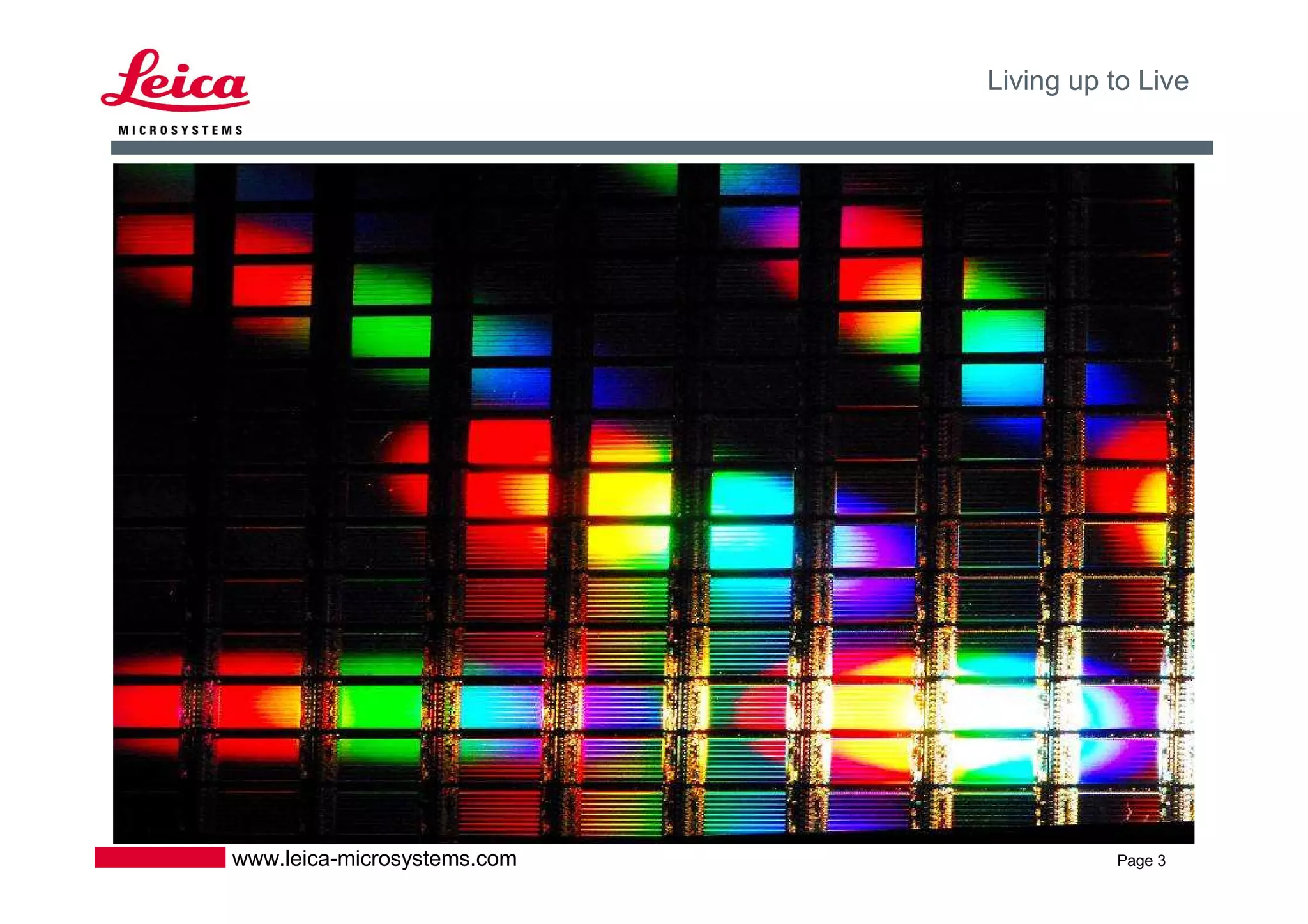 Large substrate inspection microscopes | PPT