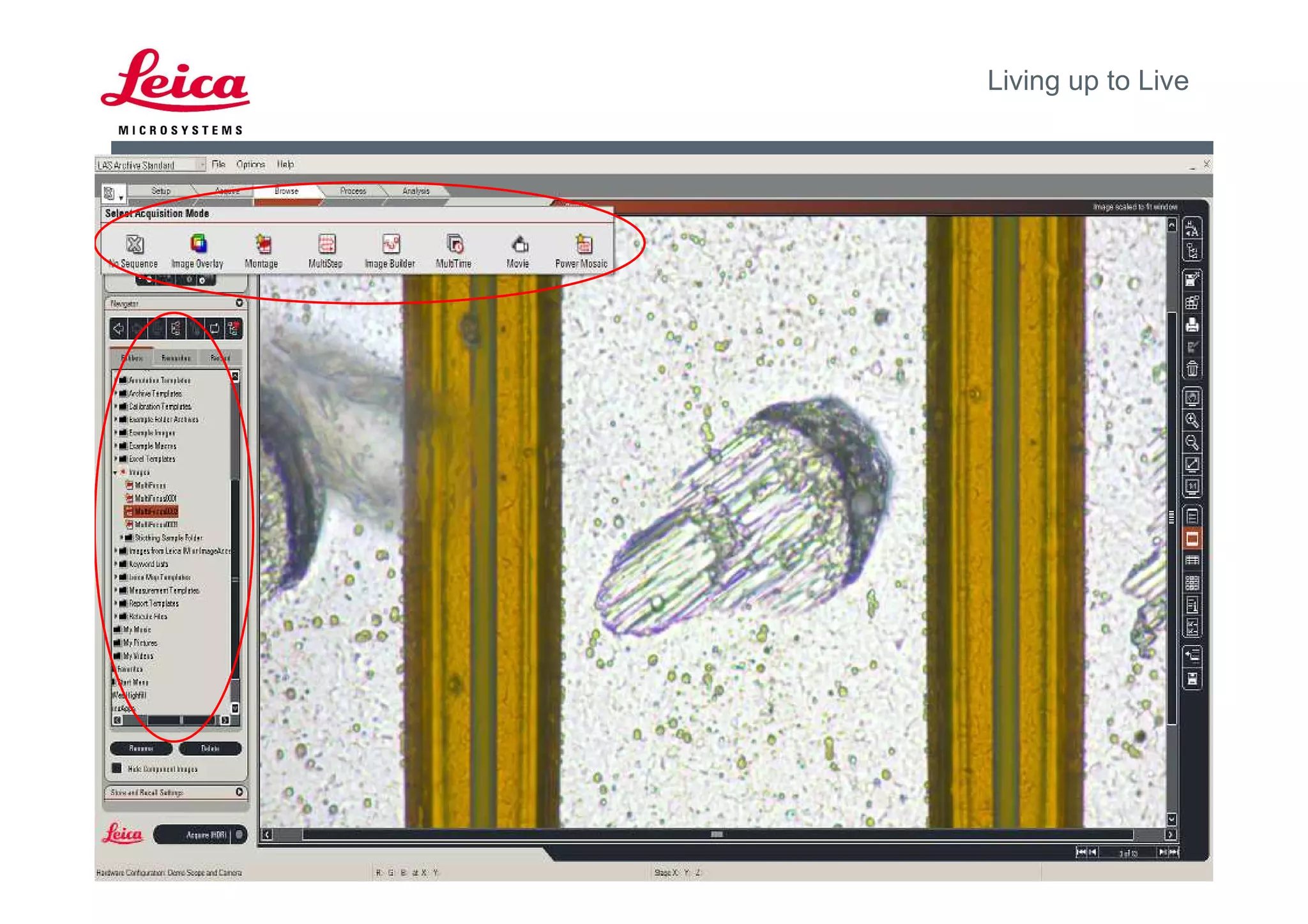 Large substrate inspection microscopes | PPT