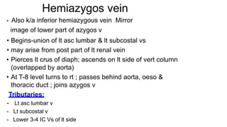 large veins of thorax & abdomen.pptx