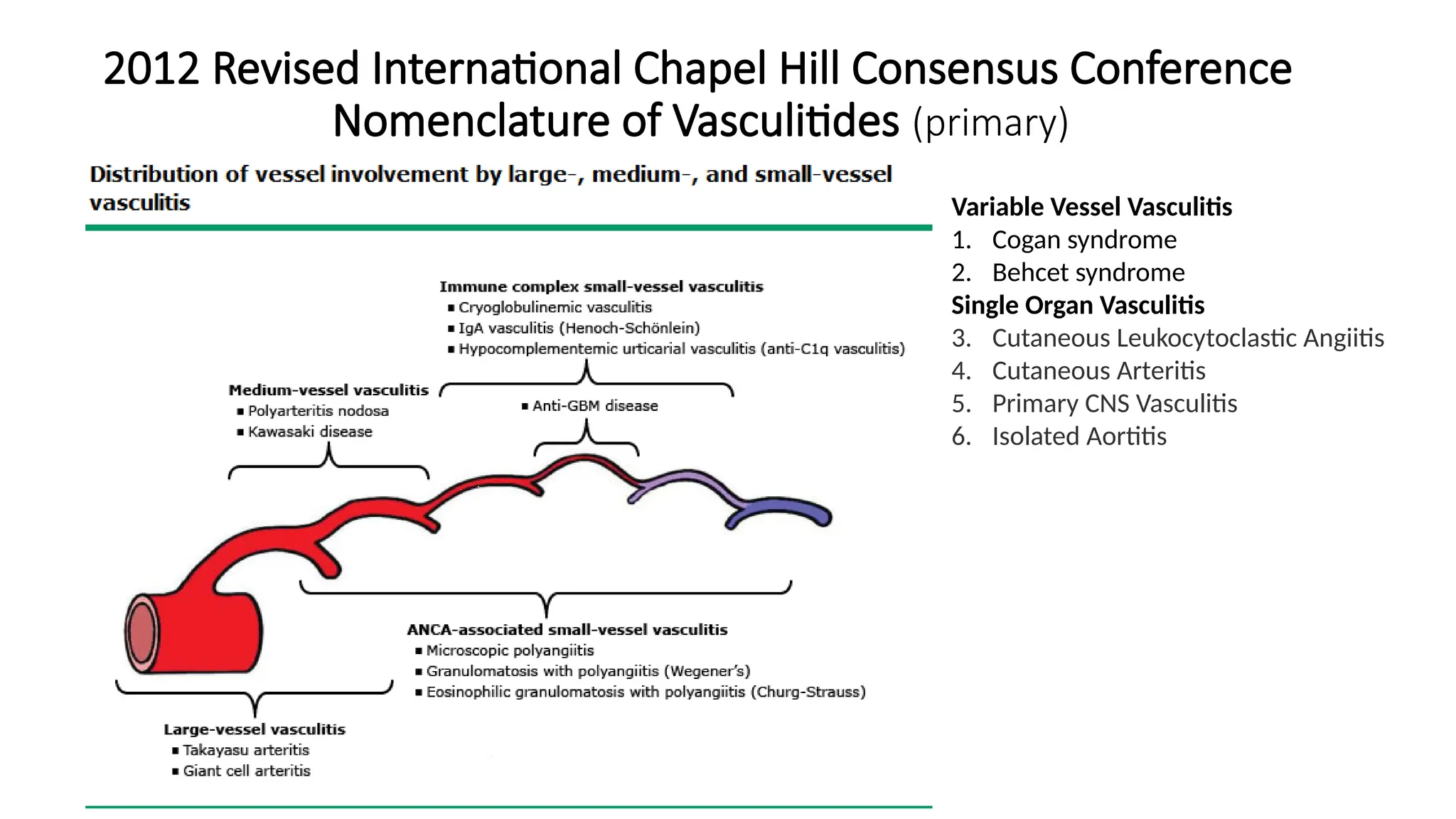 LARGE VESSEL VASCULITIS- gca, takayasu arteries | PPTX