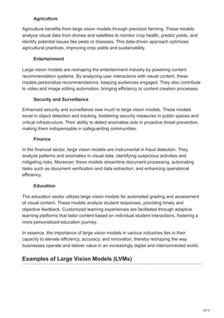 Large Vision Models Explained Transforming AI.pdf