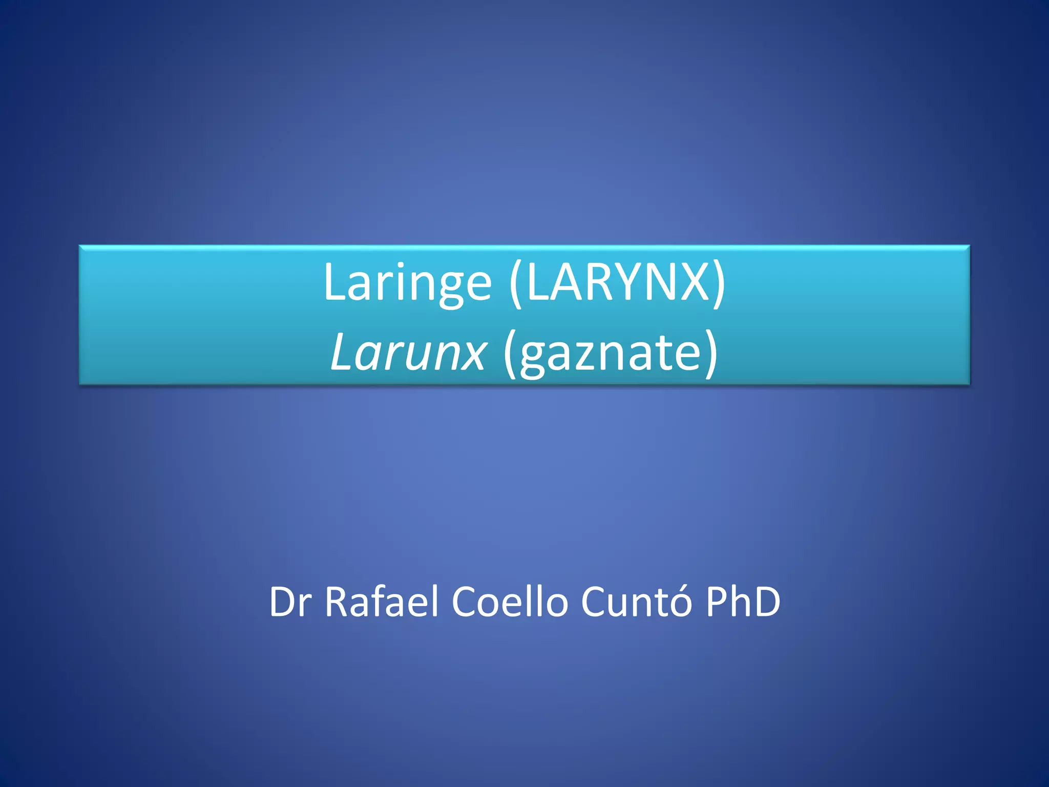 ANATOMIA DE LA LARINGE | PPTX