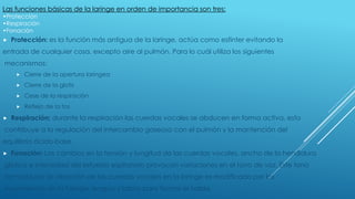 Laringe anatomía, estructuras adyacentes, músculos e inervación | PDF
