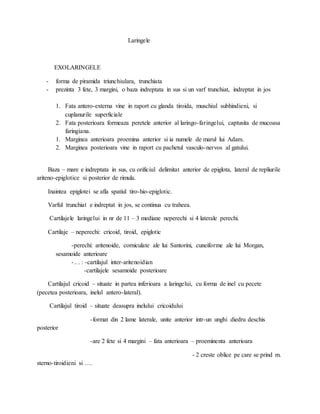 Laringele.docx