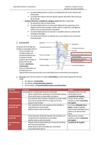 Laringe y faringe | PDF