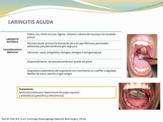 LARINGITIS DEL ADULTO CAUSAS Y TRATAMIENTO | PPTX