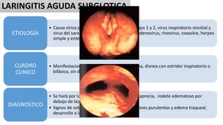 Laringitis aguda | PPTX