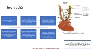 Laringoespasmo incidencia, tratamiento .pptx