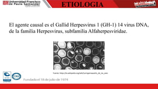 Laringotraqueitis aviar | PPTX