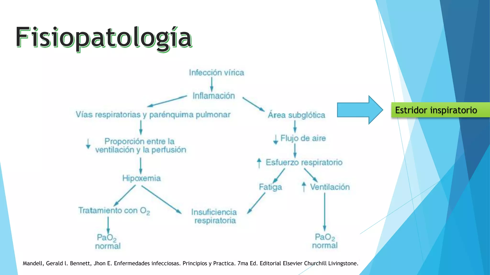 Laringotraqueobronquitis aguda (crup) , bronquitis, bronquiolitis ...