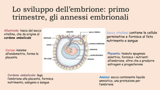 La riproduzione | PPTX