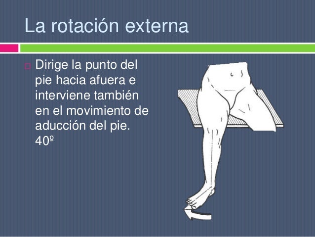 Biomecanica de la rodilla