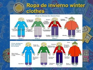 La ropa | PPS