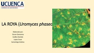 LA ROYA enfermedad fitopatogena de las plantas 1.pptx